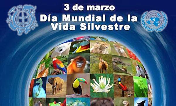 Hoy Se Celebra El Día Mundial De La Vida Silvestre